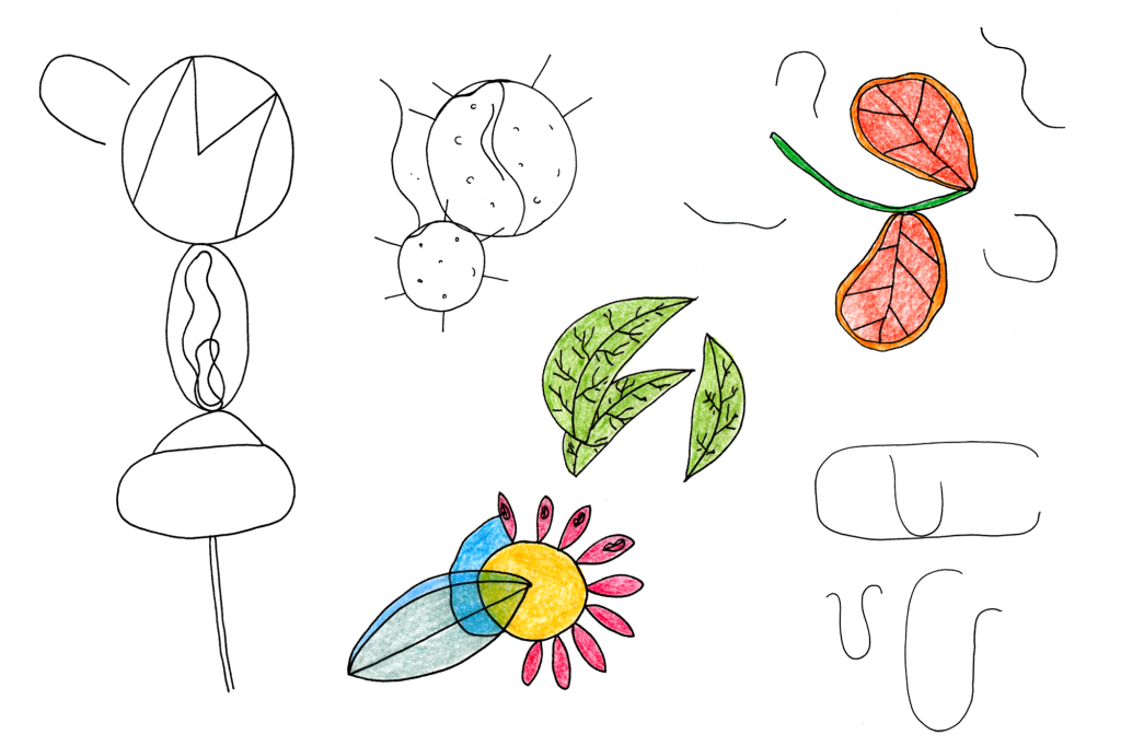 Teaching Humans How to Draw Flowers – Mia Sinovec